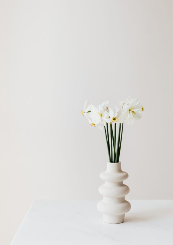 Spring Equinox Rituals & Ideas - Tea and Tranquil