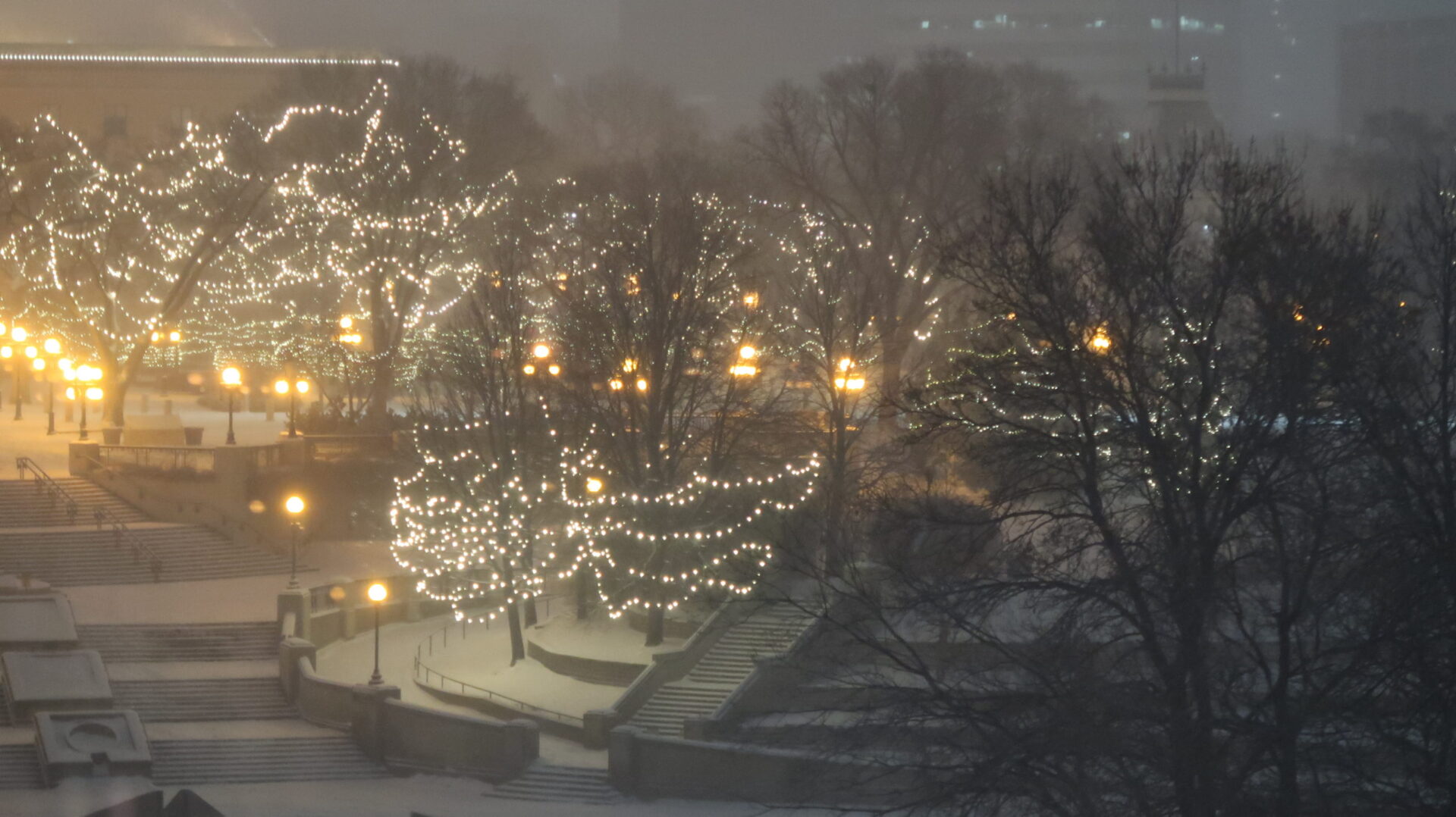 Winter Solstice Rituals and Ideas - Tea and Tranquil