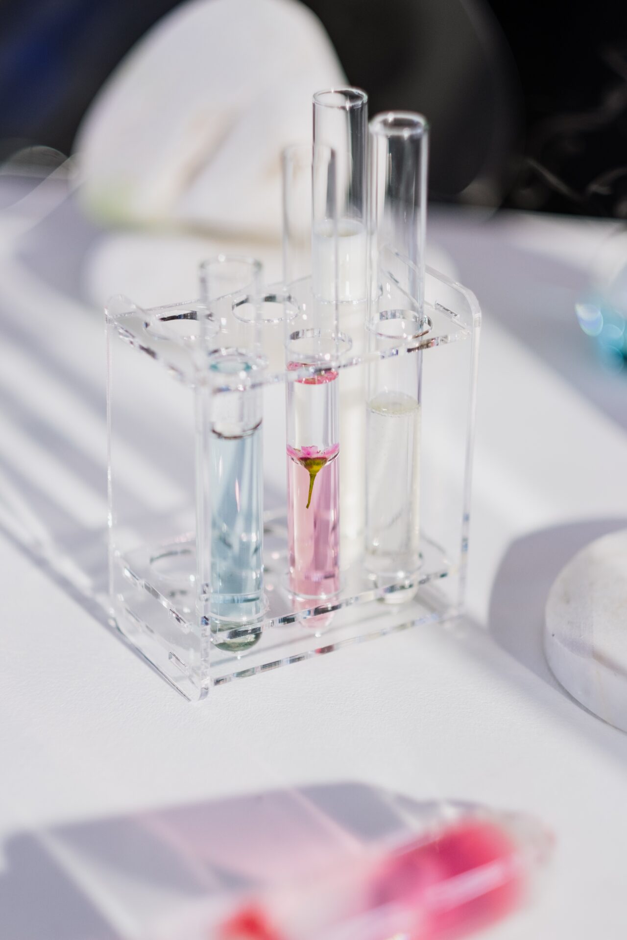 The 4 Happiness Chemicals & How To Hack Them
